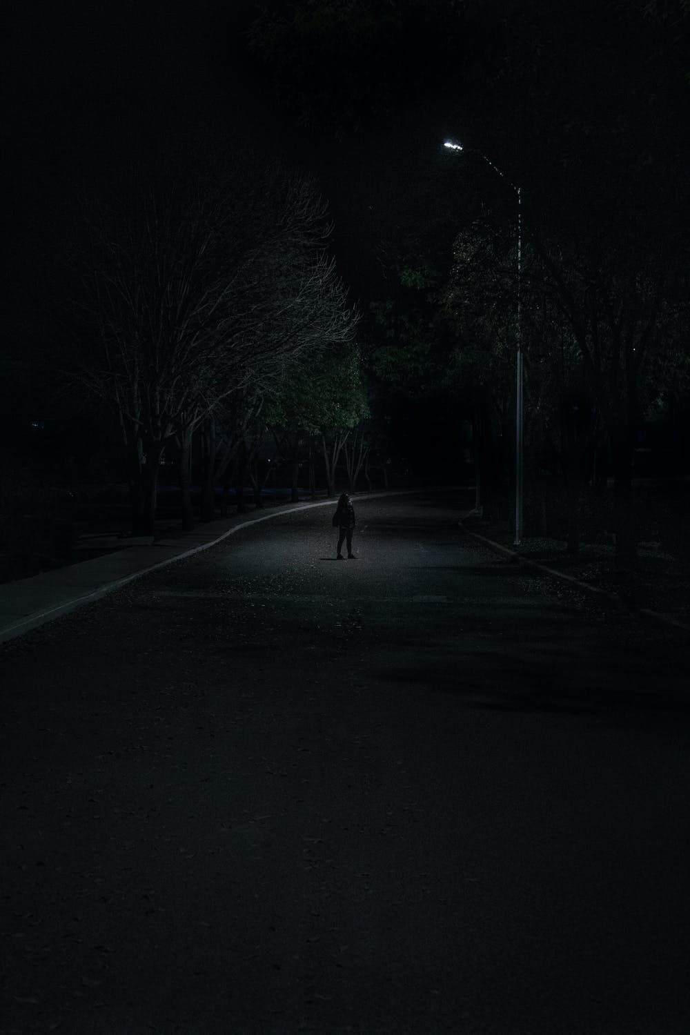 Horror Under the Looking Glass: An Comprehensive Look at the ...